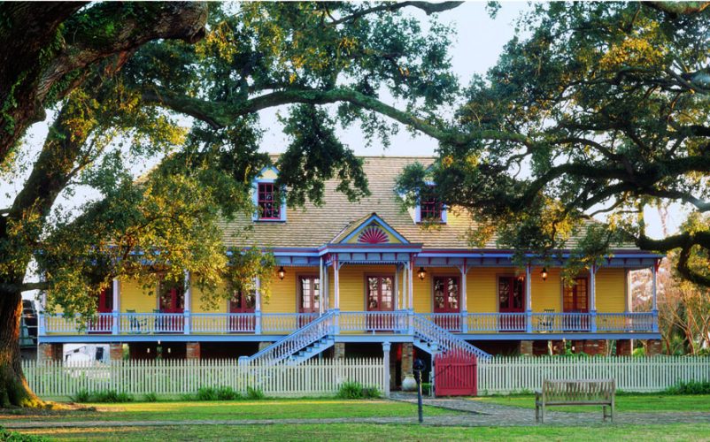 Swamp Boat & Laura Creole Plantation | N'awlins Luxury Tours